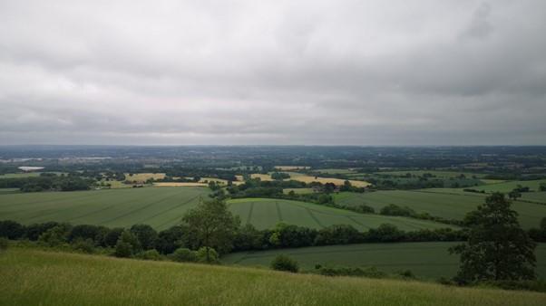 British Farm Traceable Wools