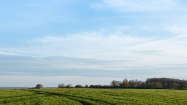 British Farm Traceable Wools