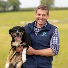 British Farm Traceable Wools